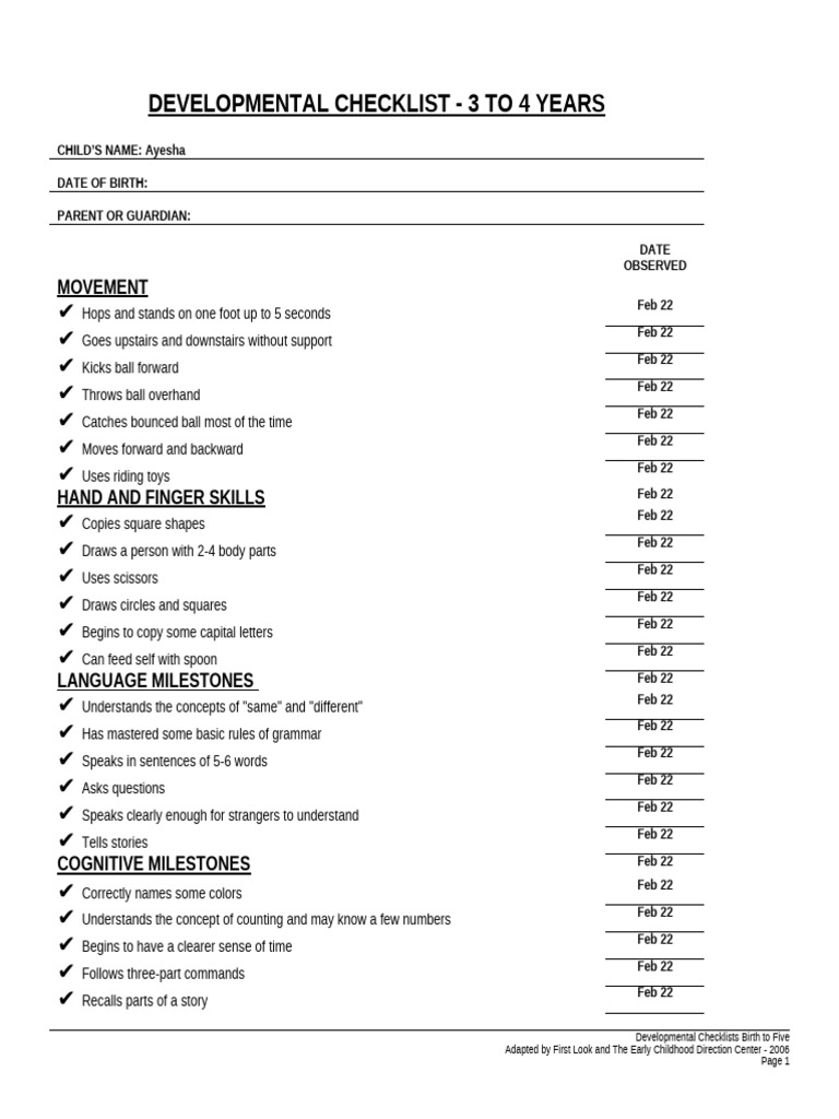 Dcl | PDF | Cognition | Early Childhood