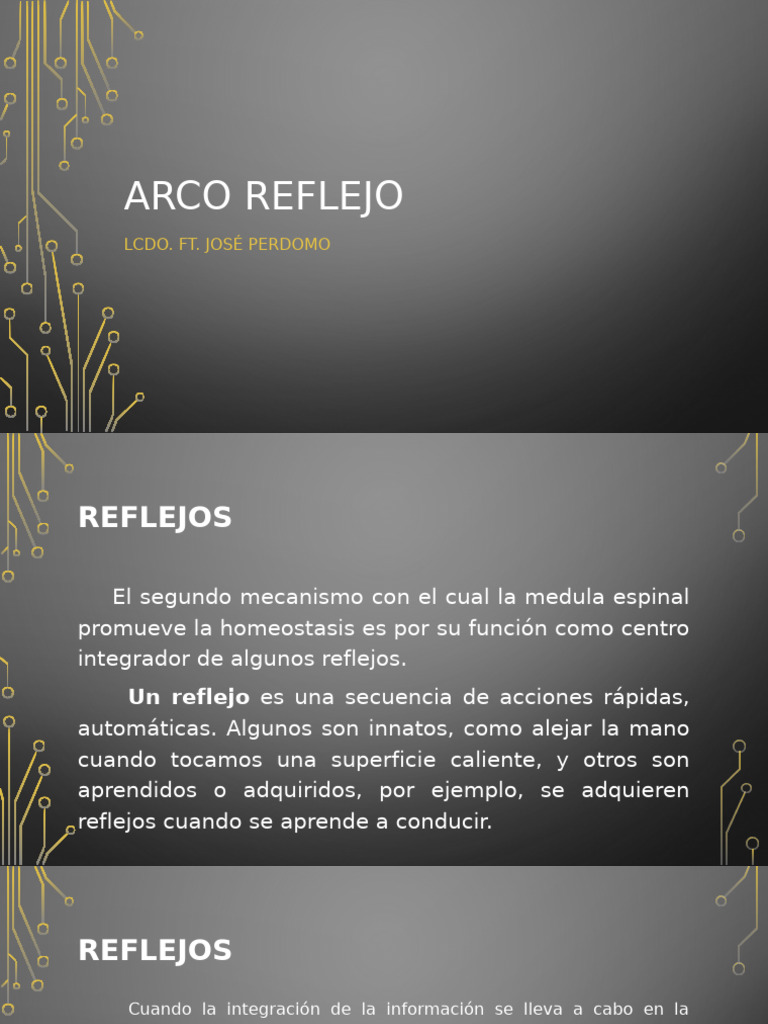 Arco Reflejo | PDF | Neurona motora | Neurona