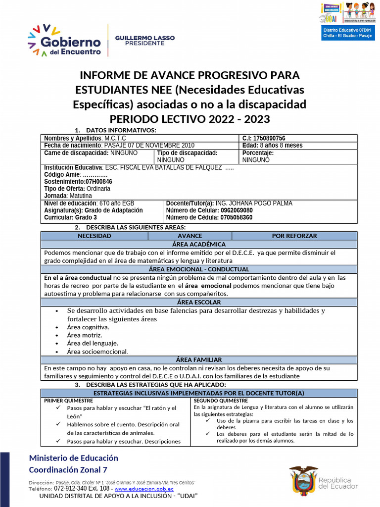 Informe de Avance Progresivo NEE | PDF