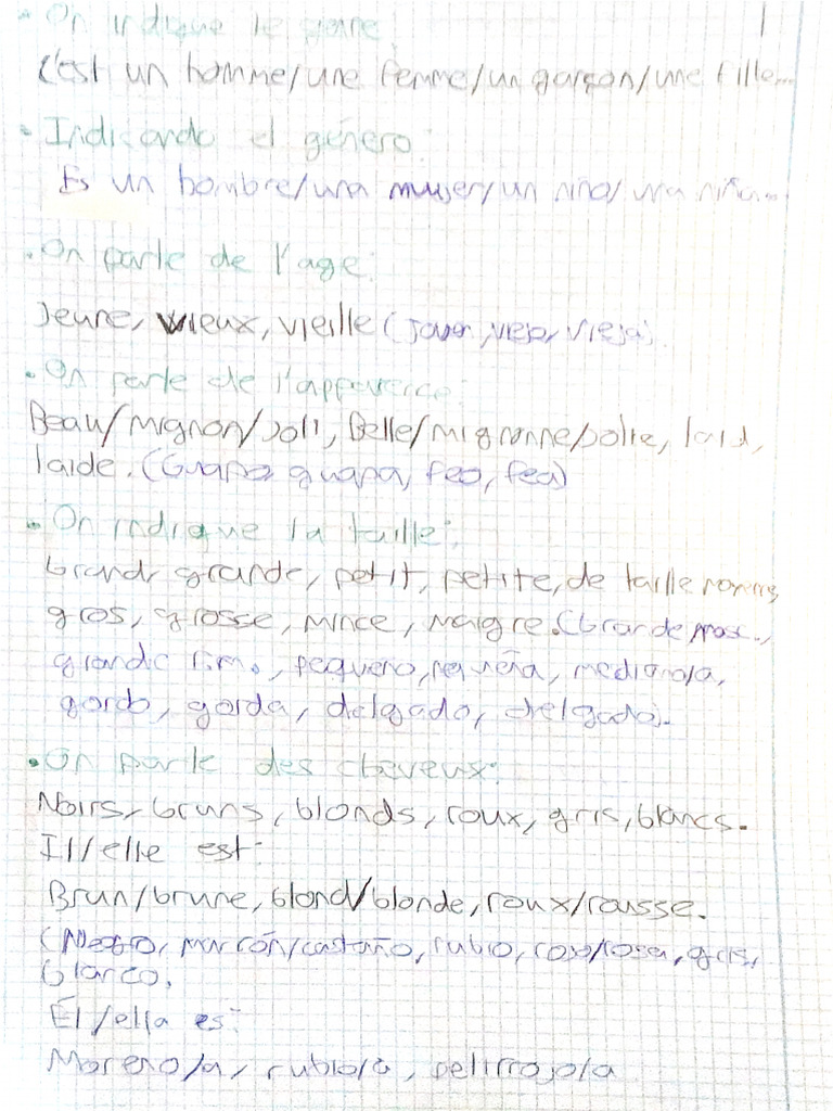 Compréhension Écrite Et Vocabulaire | PDF