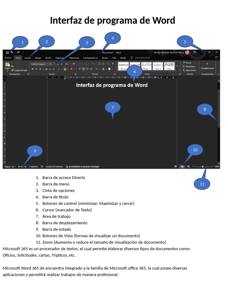 Interfaz de Programa de Word | PDF | Microsoft Word | Microsoft