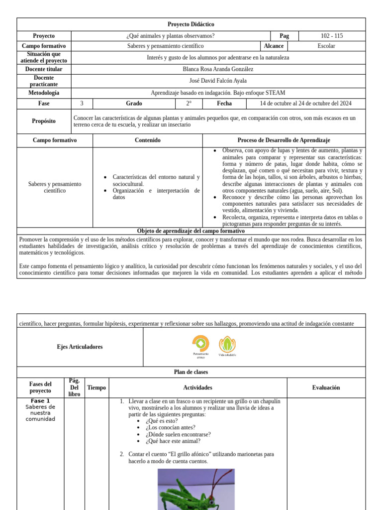 Proyecto Didáctico: Explorando Naturaleza | PDF | Aprendizaje