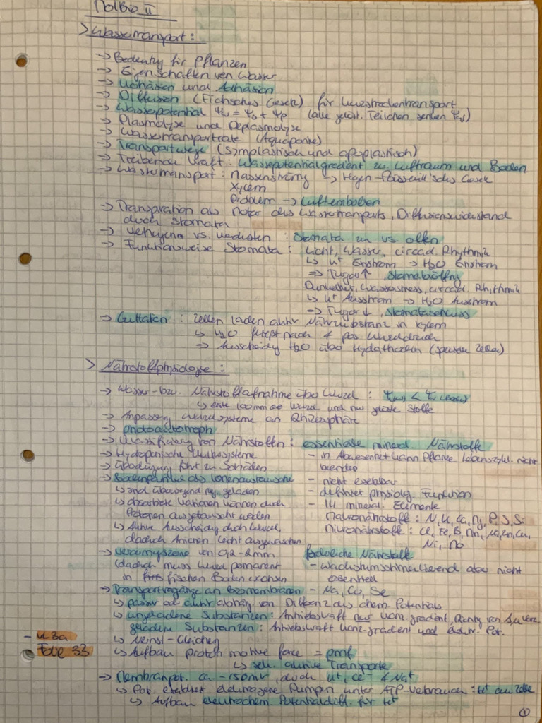 Zusammenfassung MBII | PDF