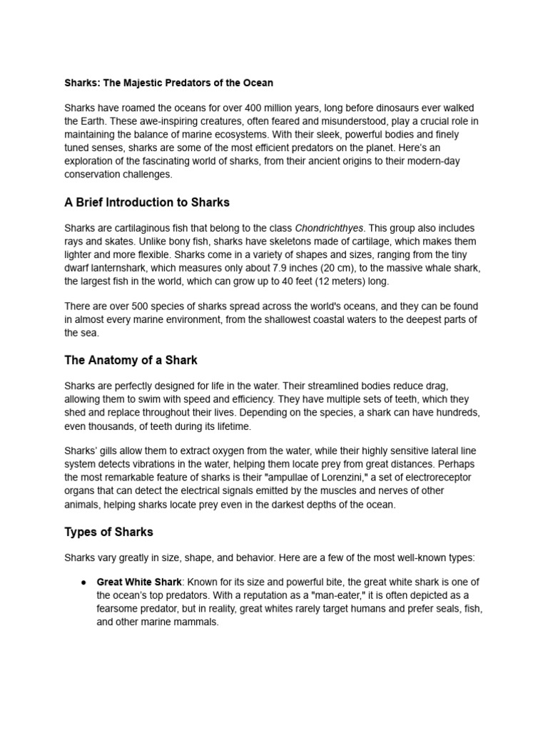 Types of Sharks Explained | PDF | Sharks | Predation