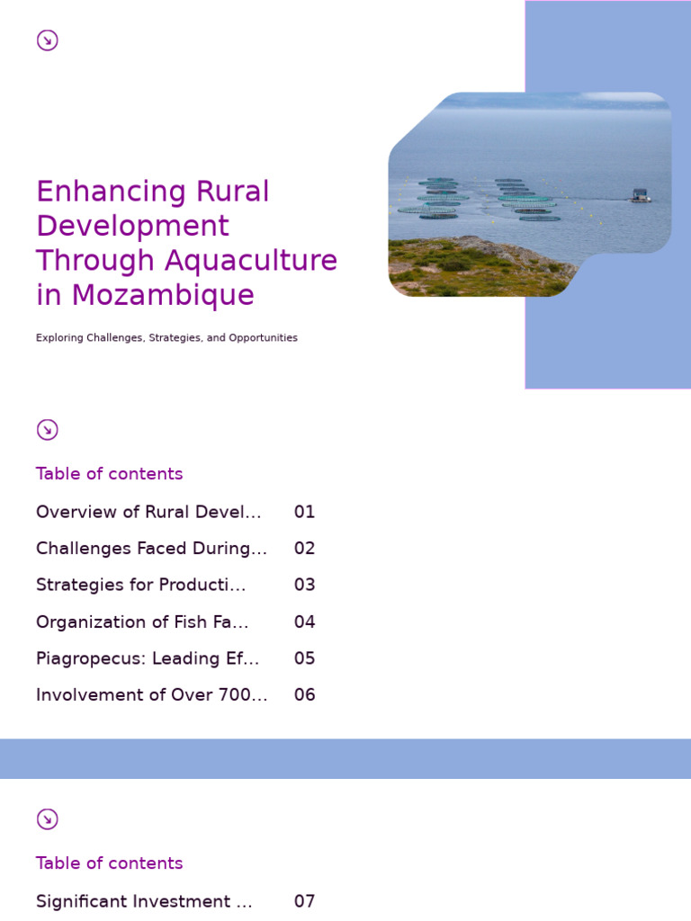 Aquaculture Strategies for Rural Mozambique | PDF | Aquaculture | Agriculture