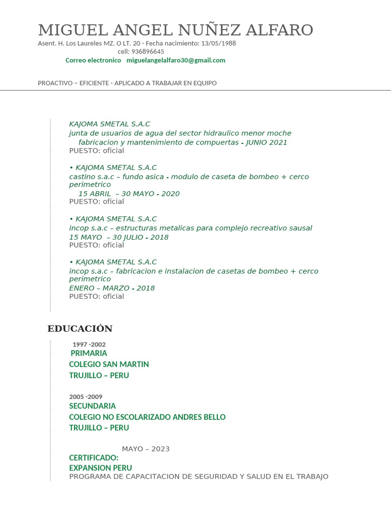 Miguel Angel CV | PDF