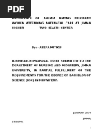 ASH 2024 Guidelines for Iron Deficiency Anemia | PDF | Anemia ...