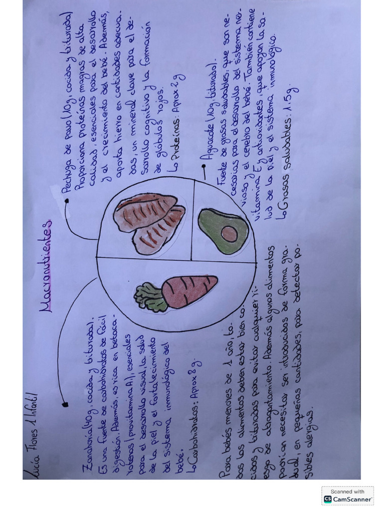 Libreta Autonomia Tema 2 y 3 | PDF