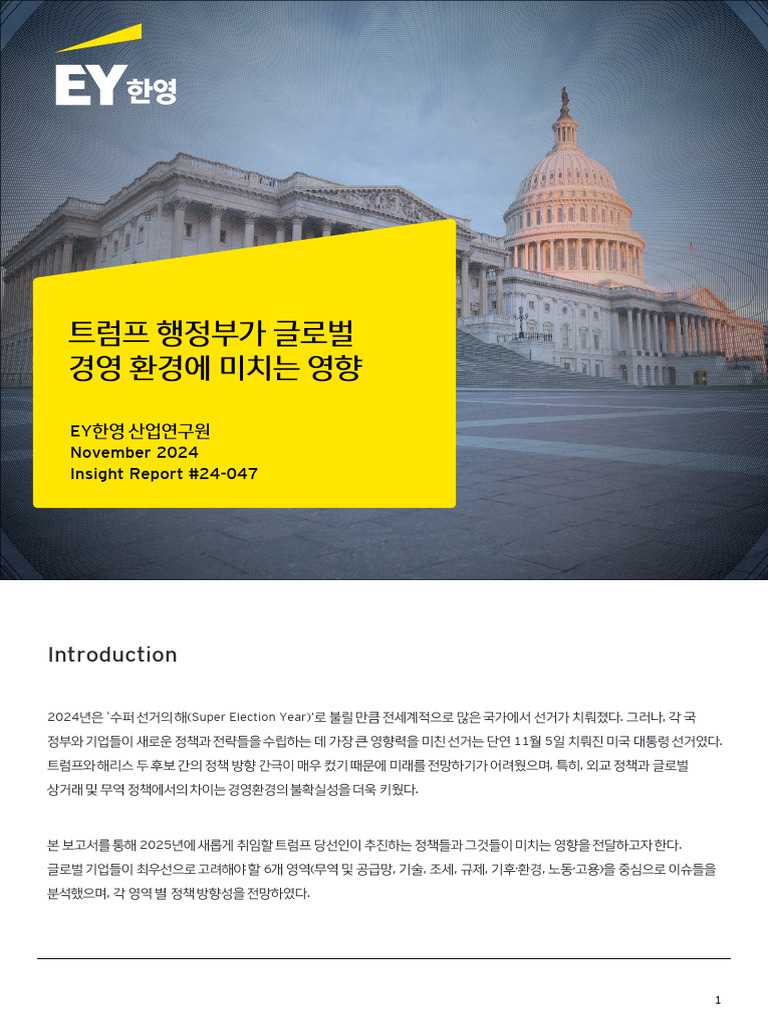 2024 Super Election Year Insights Report | PDF | Economies