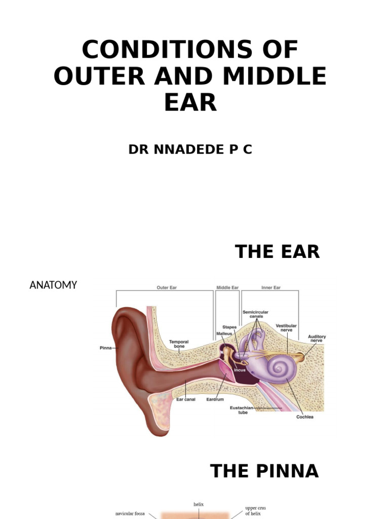 Ear Anatomy and Disease Overview | PDF | Ear | Auditory System