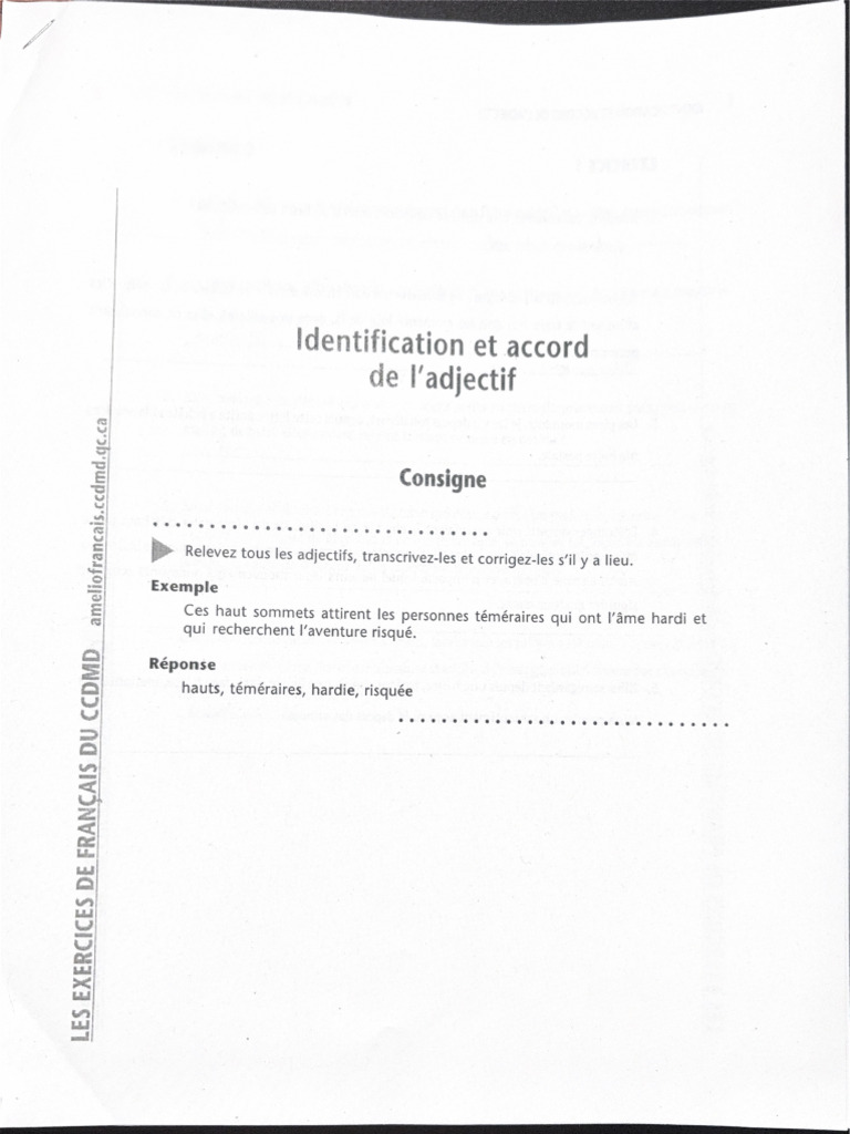 Identification Et Accord de L'adjectif | PDF