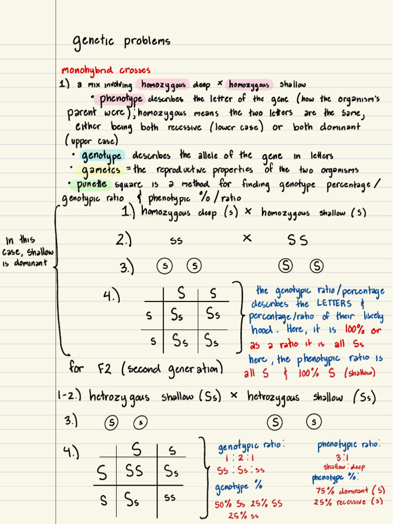 Solving Genetics | PDF | Dominance (Genetics) | Zygosity