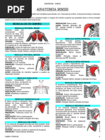 Cíngulo Do Membro Superior | PDF | Membros (anatomia) | Anatomia humana