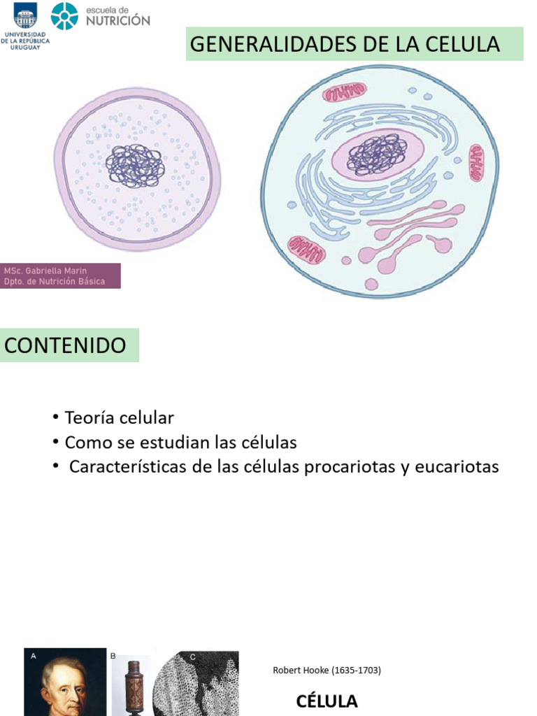 1- Generalidades de La Celula | PDF | Biología Celular) | Citoplasma