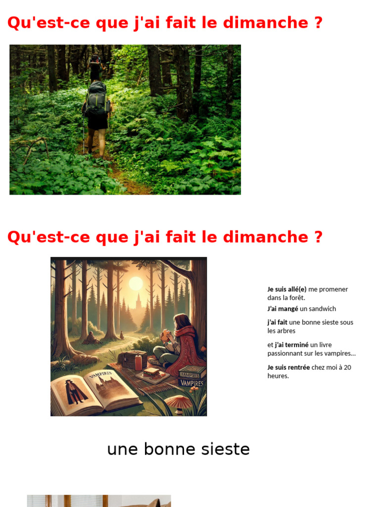 Qu'est-ce que j'ai fait le dimanche | PDF