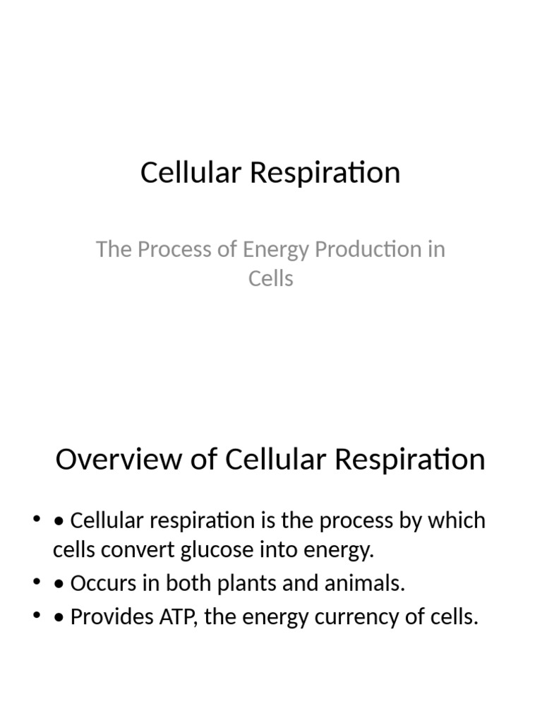 Cellular_Respiration_Presentation | PDF