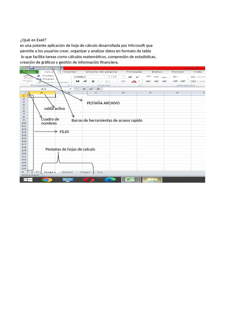 TP n1 Informatica 2 3 | PDF