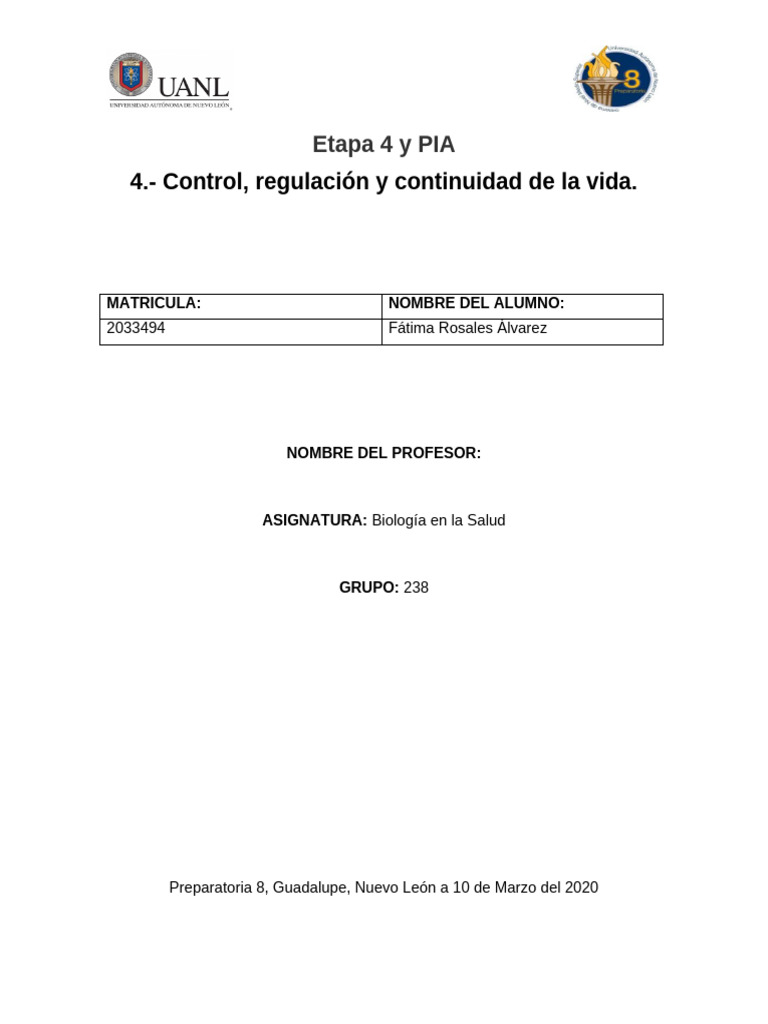 Fra Ev4-Pia BS | PDF