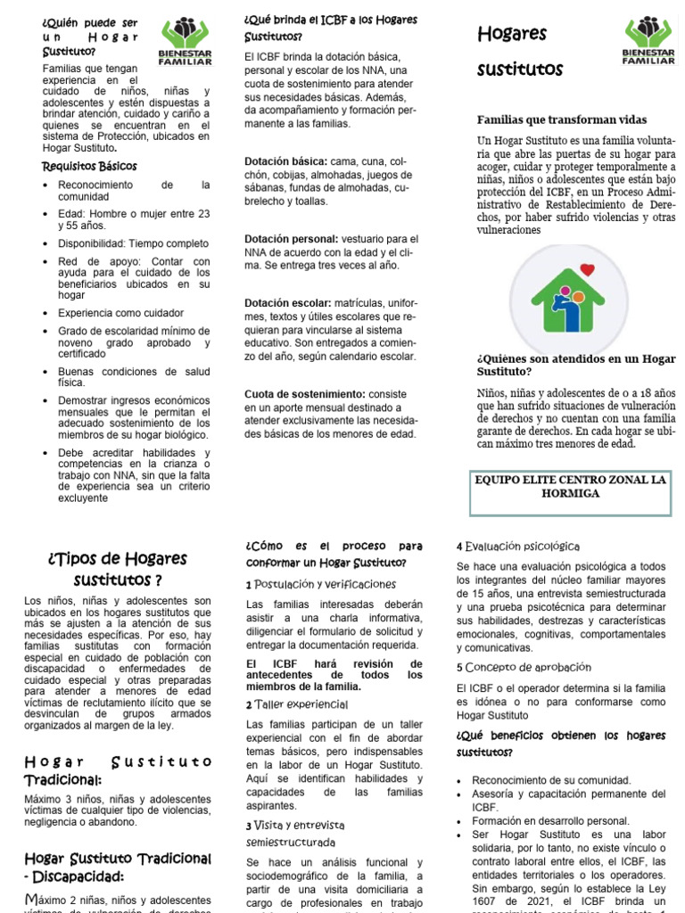 Folleto Conformación de Hst | PDF | Sicología