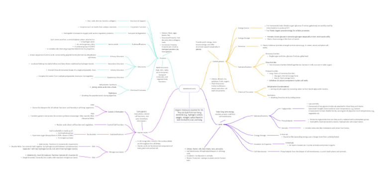 Mind Map | PDF