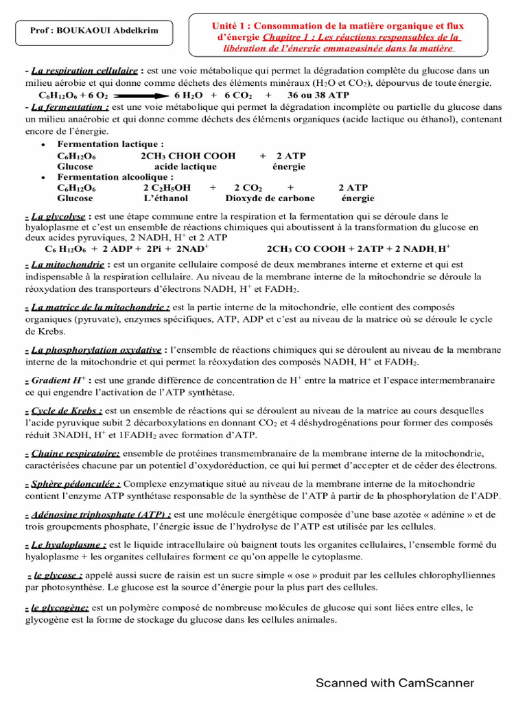 Définitions Des Termes Scientifiques | PDF