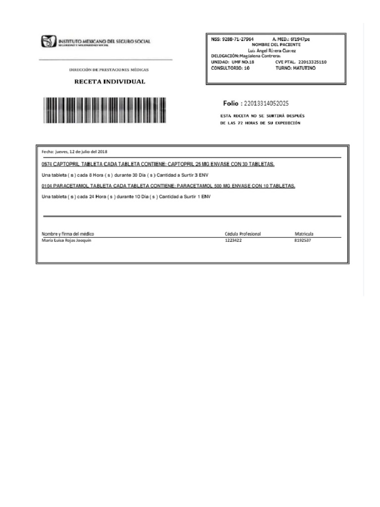 Imss | PDF