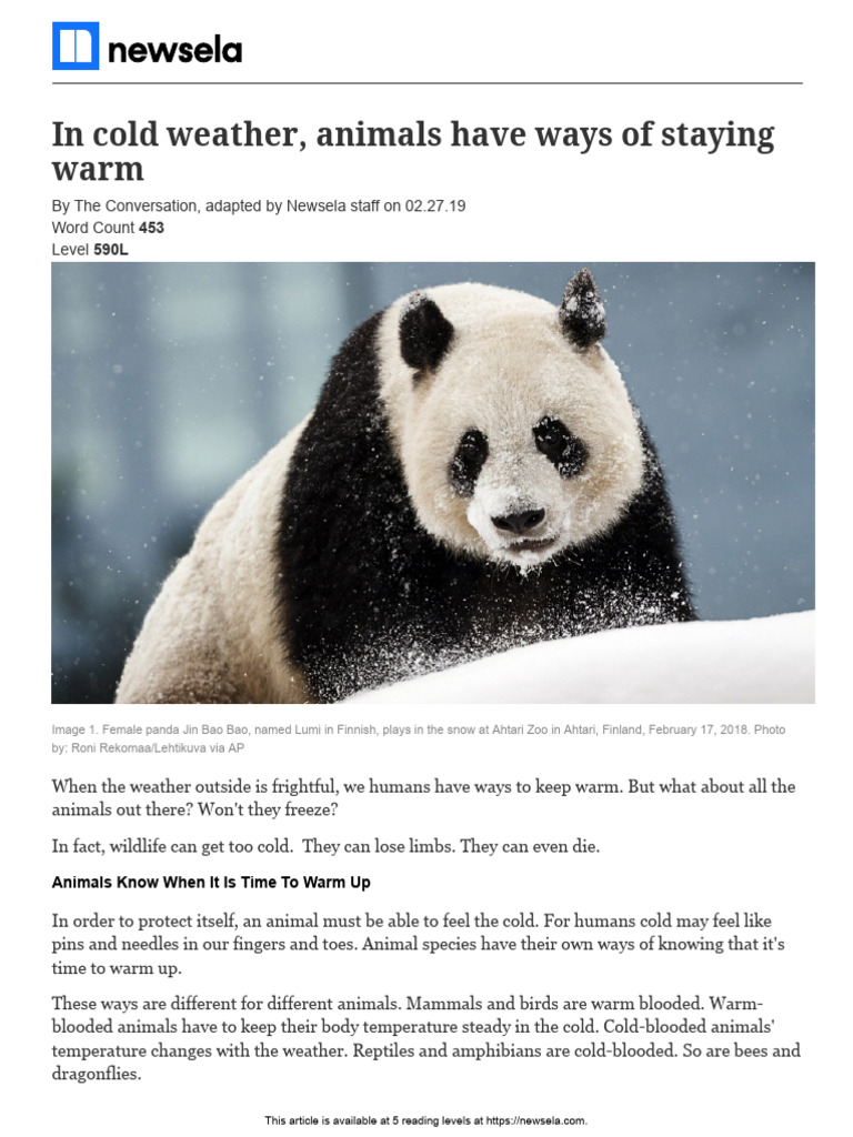 Do Animals Hate Bitter Cold 48933 Article - Only | PDF | Zoology