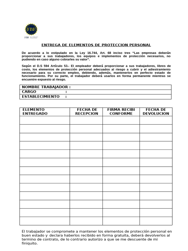 Entrega-EPP 2024 | PDF