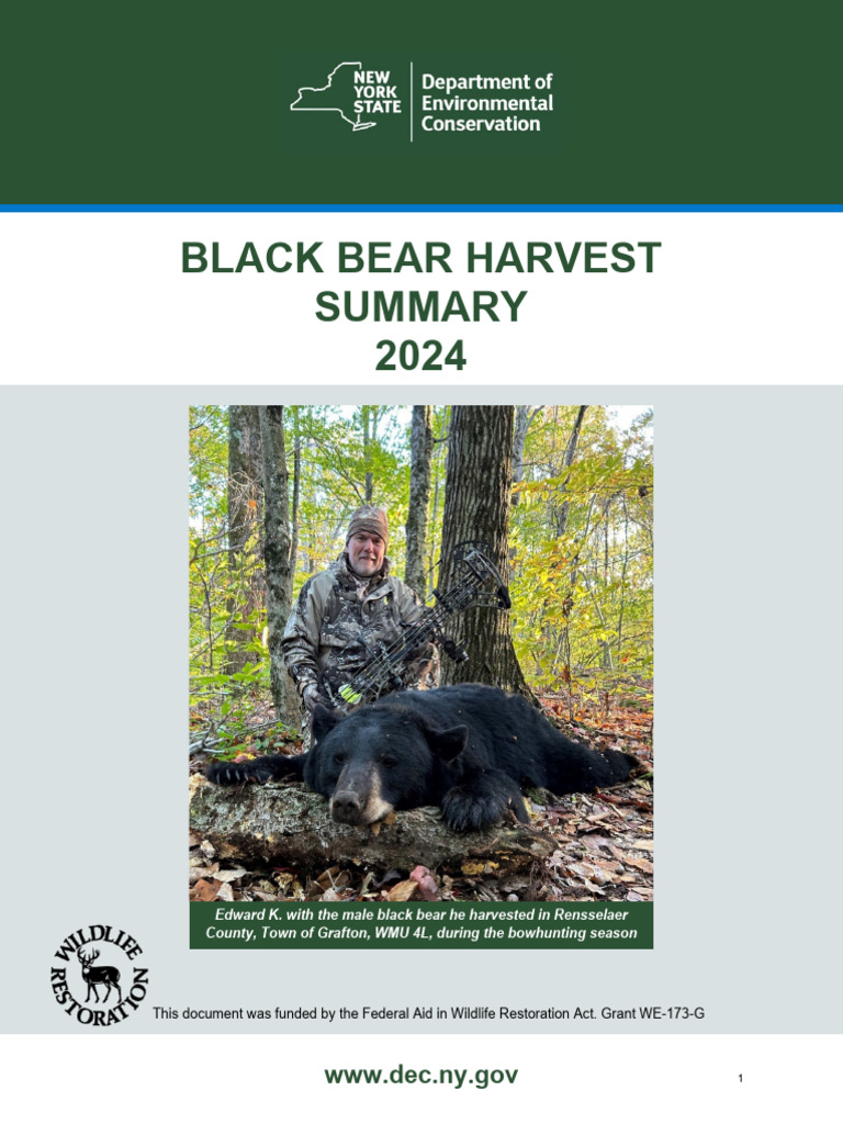 NYS 2024 Black Bear Report | PDF | Hunting | Wildlife