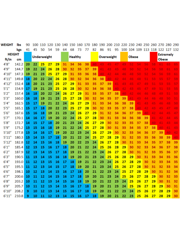 BMI | PDF