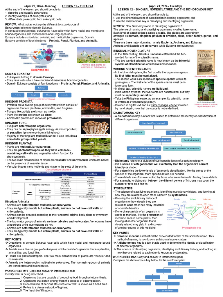 Science 8 Q4 Week 4 | PDF | Eukaryotes | Prokaryote