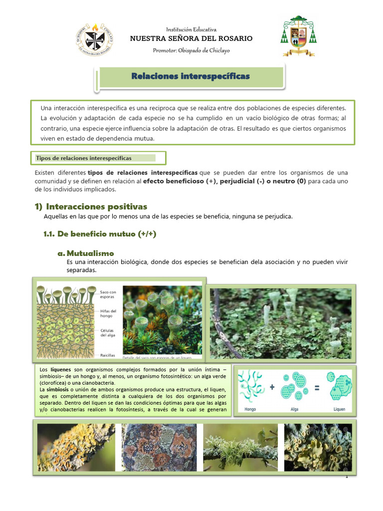 Relaciones Interespecíficas - 1º | PDF | Depredación | Simbiosis