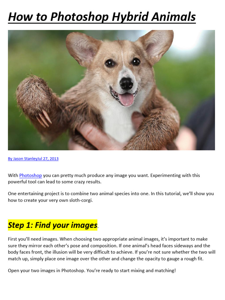 22-How To Photoshop Hybrid Animals | PDF | Adobe Photoshop | Imaging
