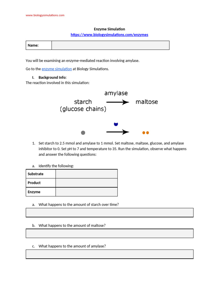 Enzyme Simulation - Amylase A | PDF | Enzyme | Starch