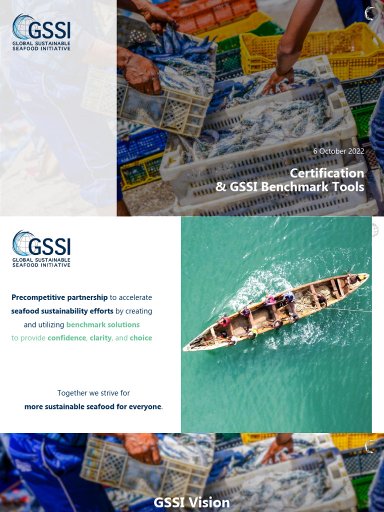 Certification and GSSI Benchmark Tools | PDF | Sustainability | Economies