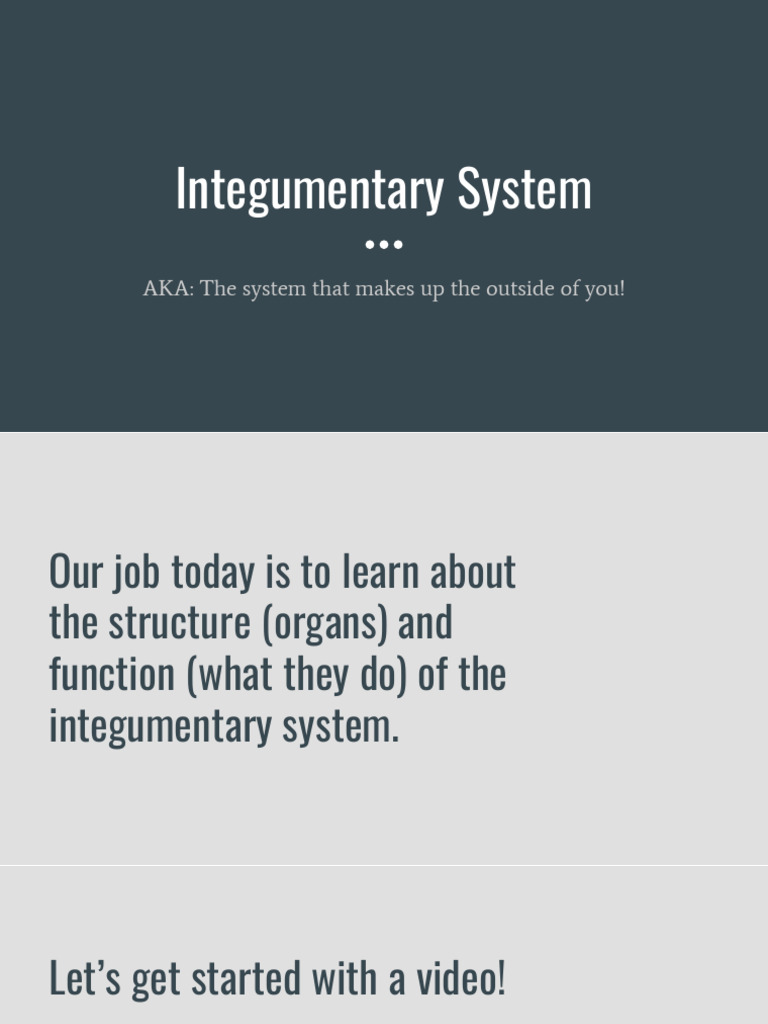 Integumentary System Lesson | PDF