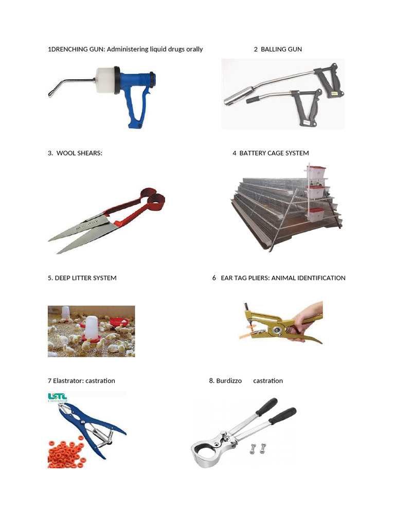 Animal Handling Equipment | PDF