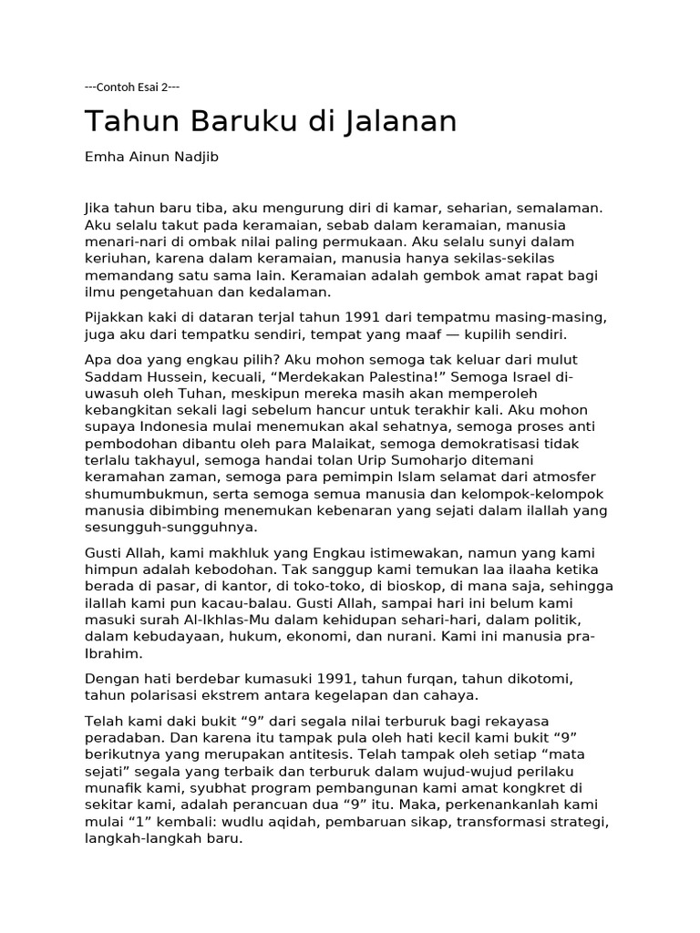 Contoh Esai 2 | PDF