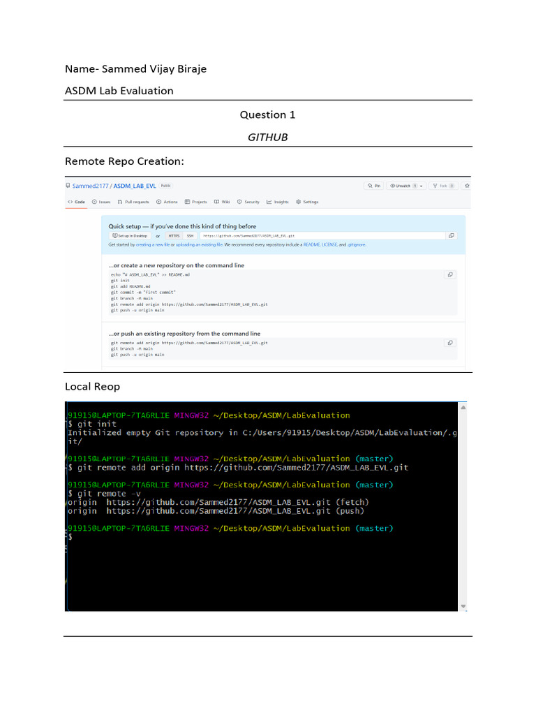 GitHub Remote Repo Management Guide | PDF