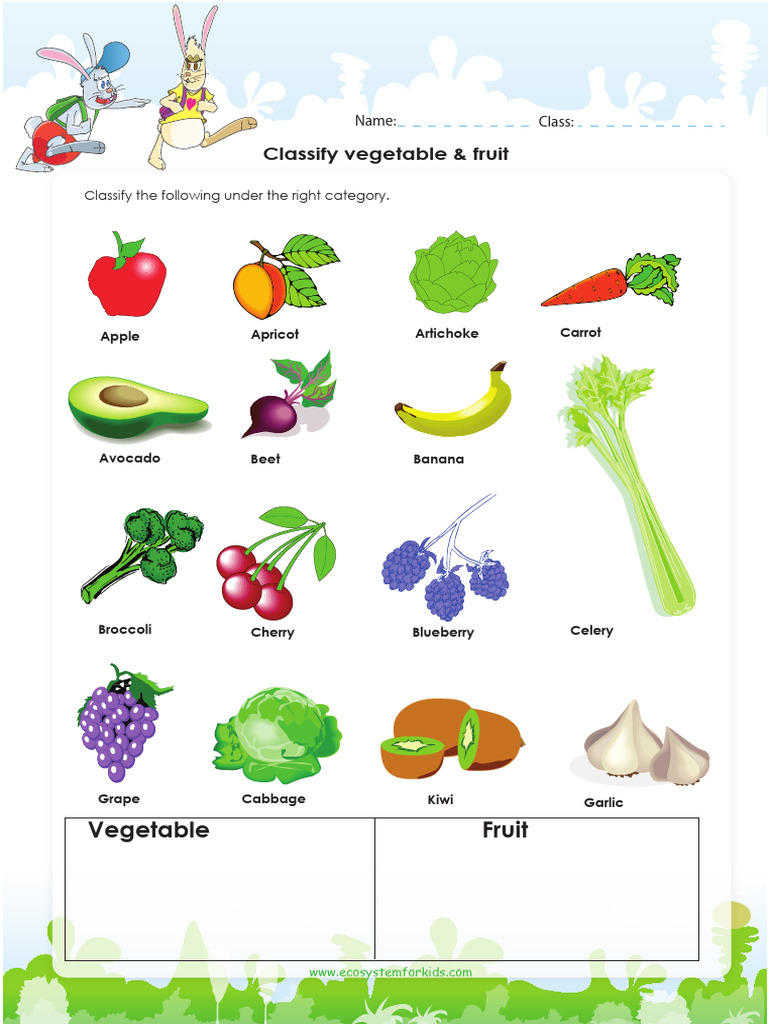Classifying Vegetables and Fruits | PDF