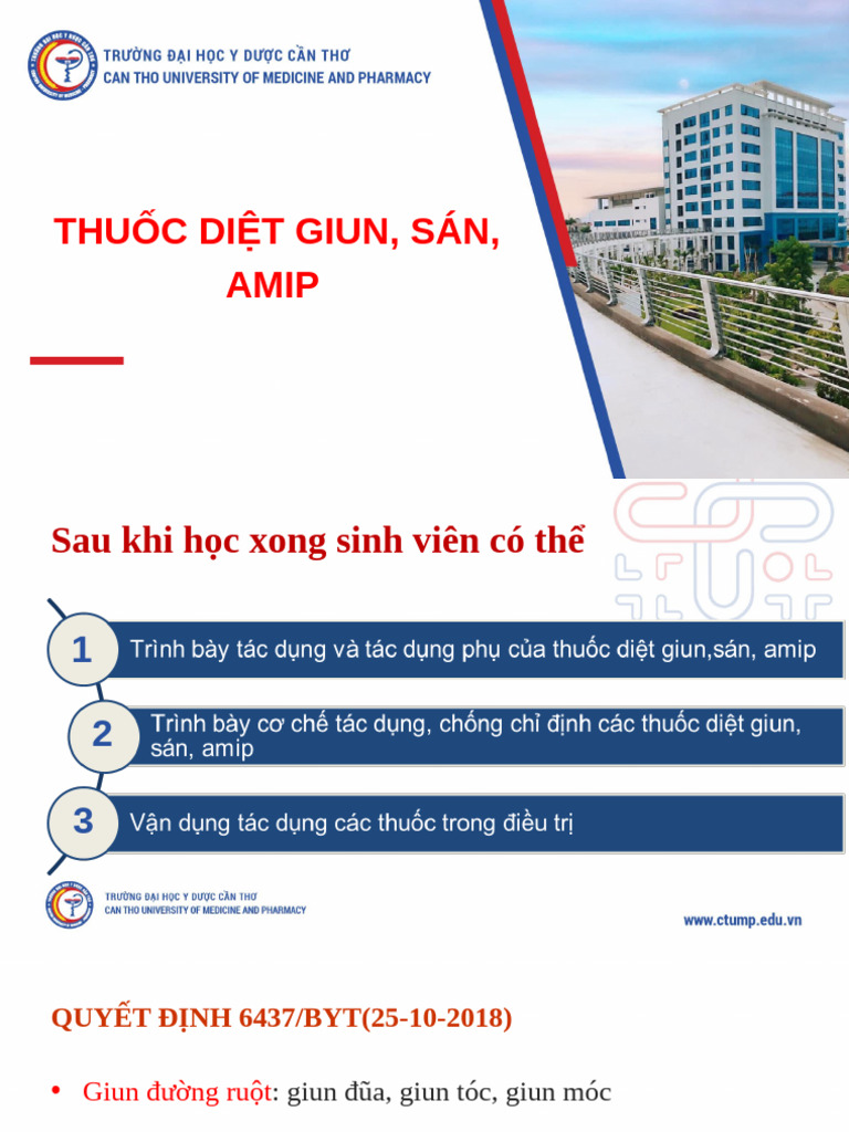 GIUN-SÁN-AMIP-2021 | PDF