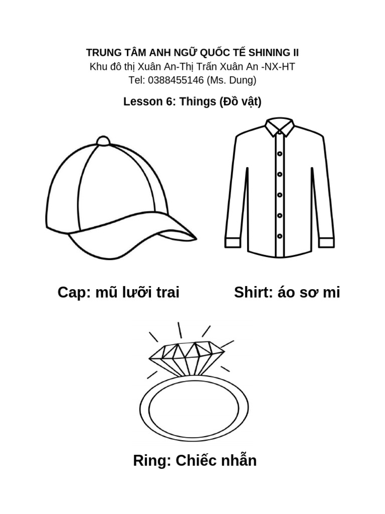 Lesson 6. Things | PDF