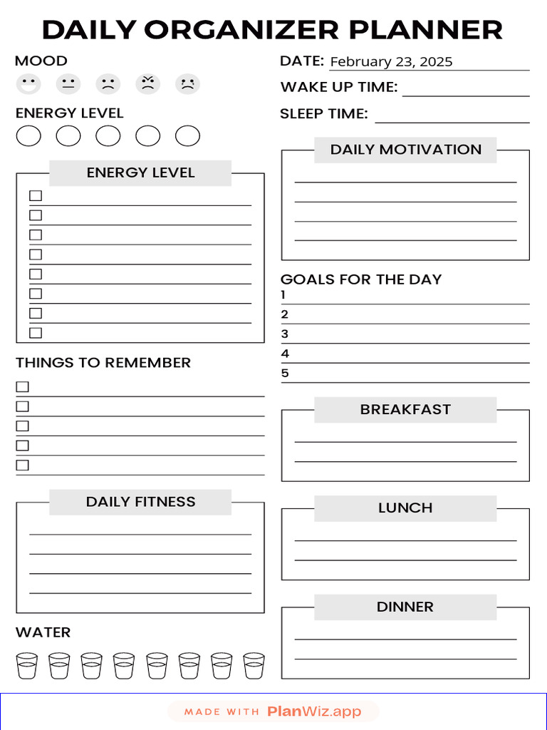 PlanWiz Daily Detailed Organizer For Productivity Tracking Planner | PDF