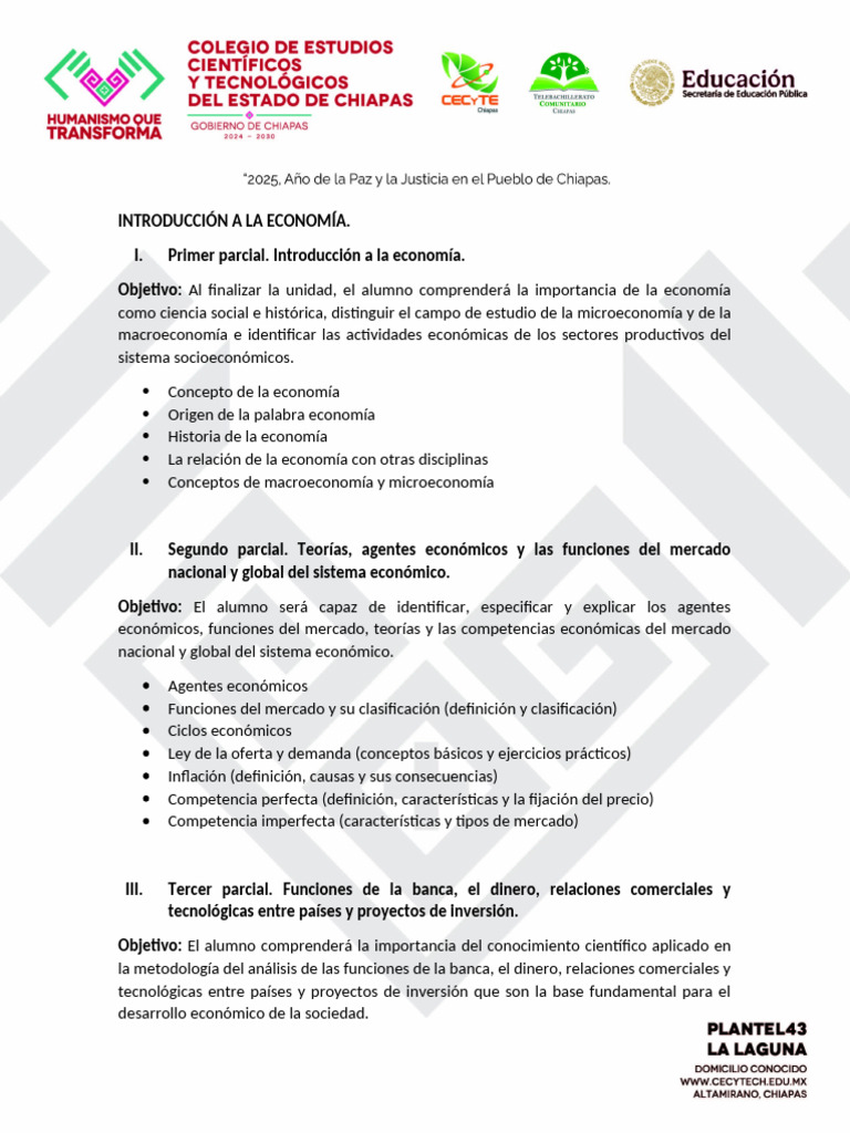 Plan Semestral | PDF