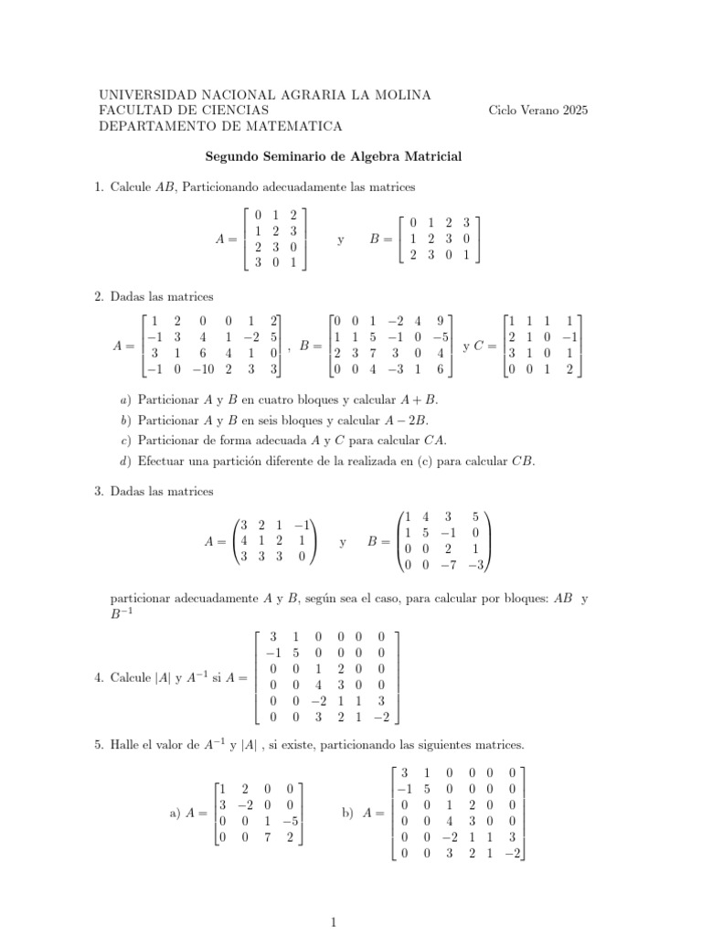Seminario 2 Alg Mat Verano 2025 | PDF | Espacio vectorial | Matriz (Matemáticas)