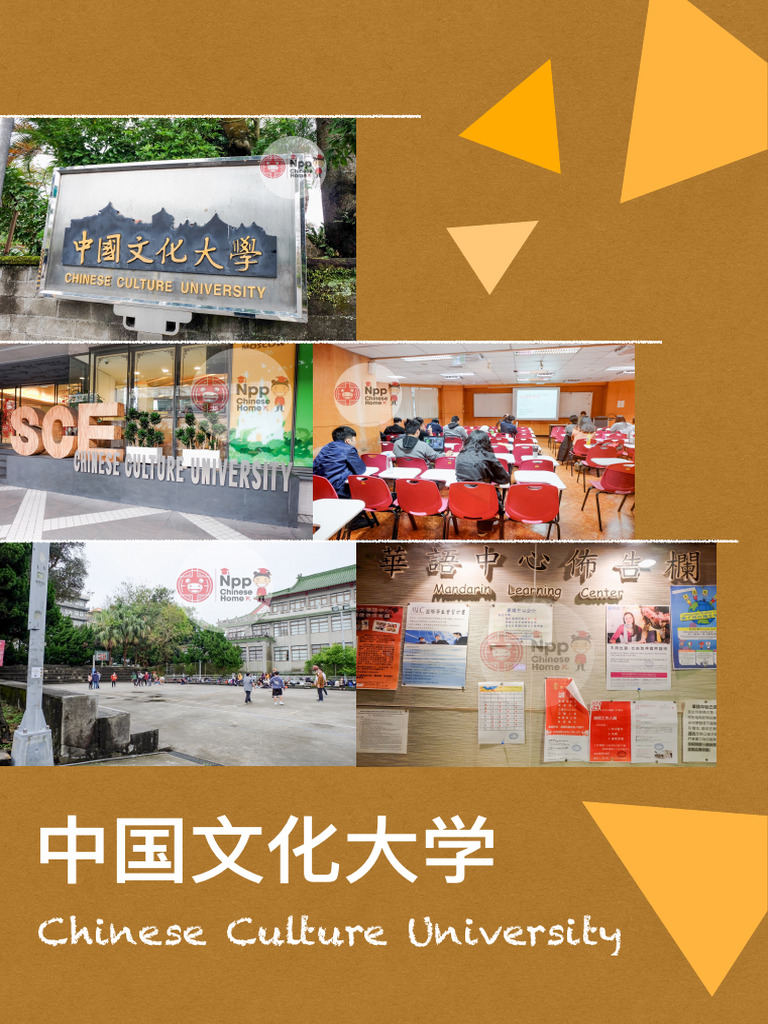 Long Term Programs MLC | PDF