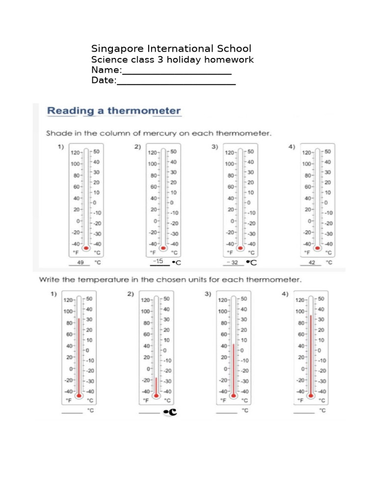 Class 3 Science Holiday Homework | PDF
