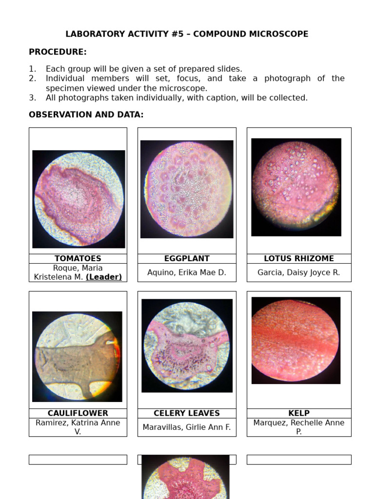 GROUP-4-3C-Laboratory-Activity-5-Compound-Microscope-Data | PDF