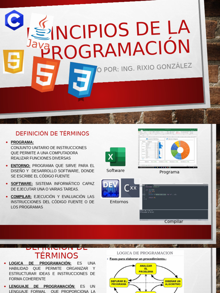 Principios de La Programación. Prf.rixio González. | PDF | Lenguaje de programación | Programa ...