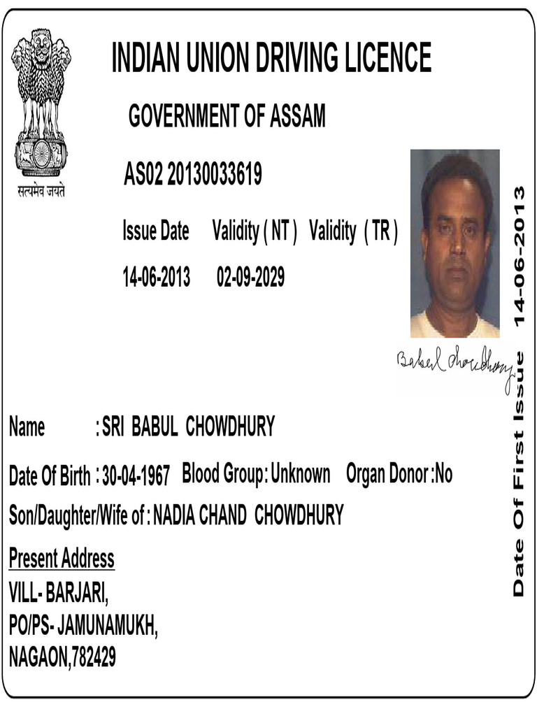 Driving License | PDF